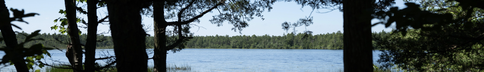 Penn State Forest - State Parks, Forests & Historic Sites