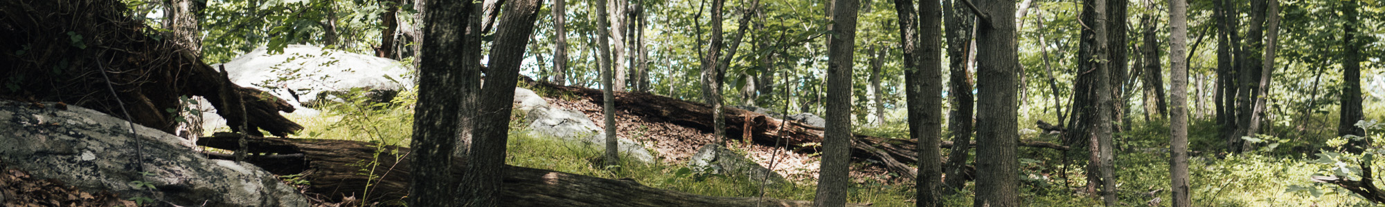 Brochures and Trail Guides - State Parks, Forests & Historic Sites