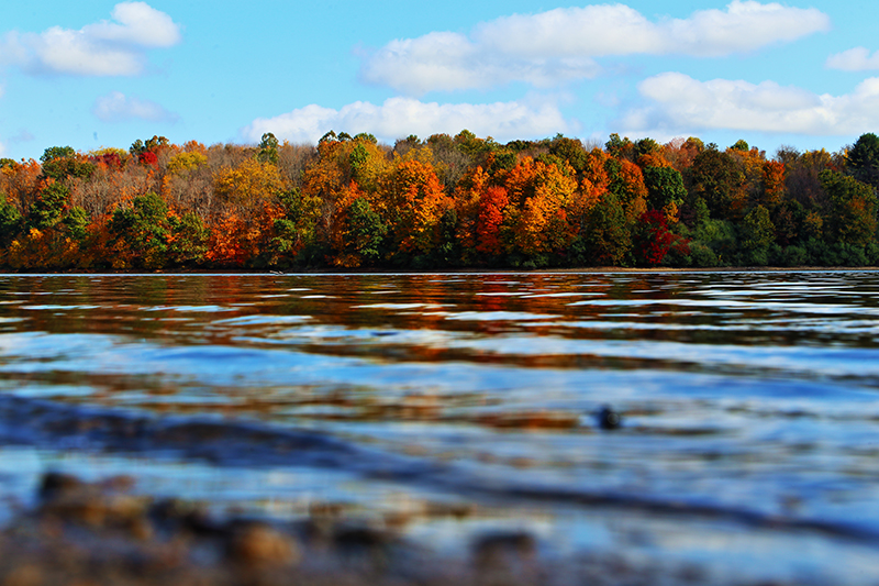 Spruce Run Recreation Area - State Parks, Forests & Historic Sites