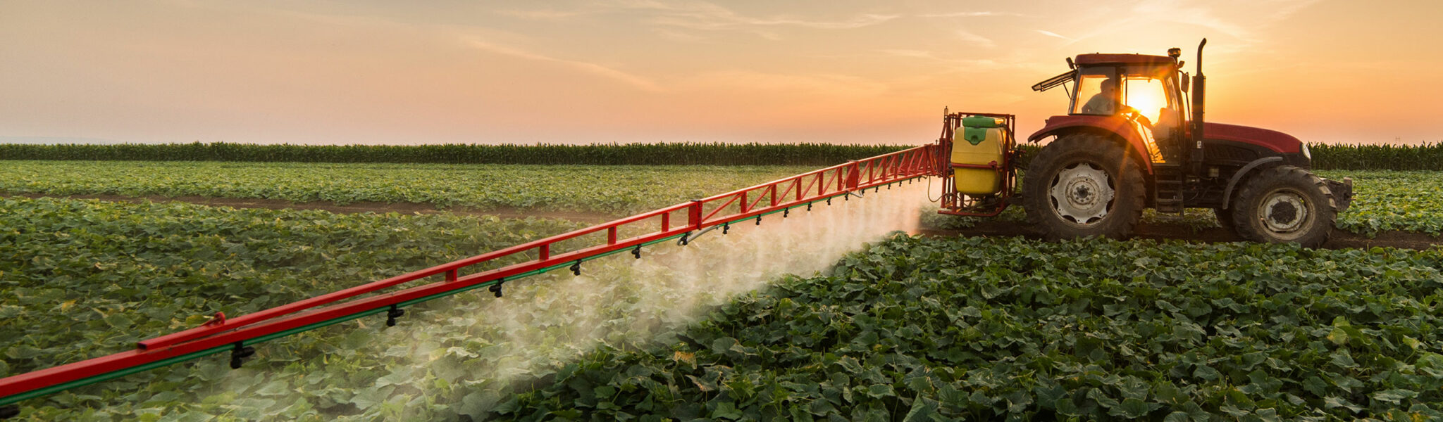 NJDEP| Pesticide Control in the Division of Water Monitoring | Home