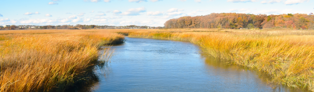 NJDEP| Sustainability | Pollution Prevention