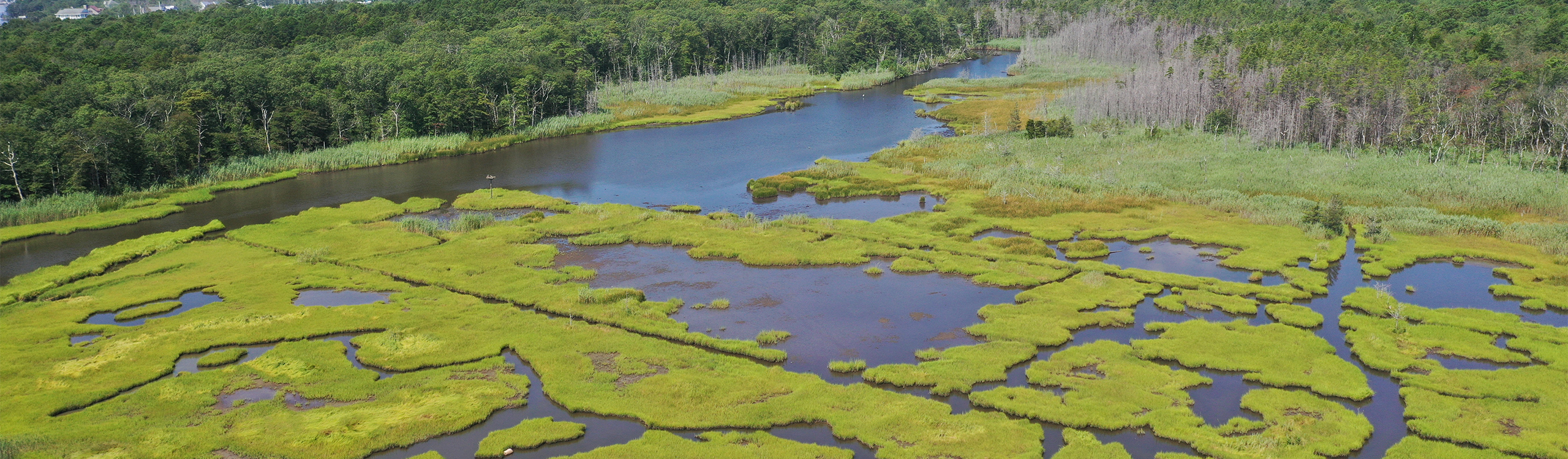 Back Bays, Estuaries, and Tidal Rivers and Streams | State Wildlife ...