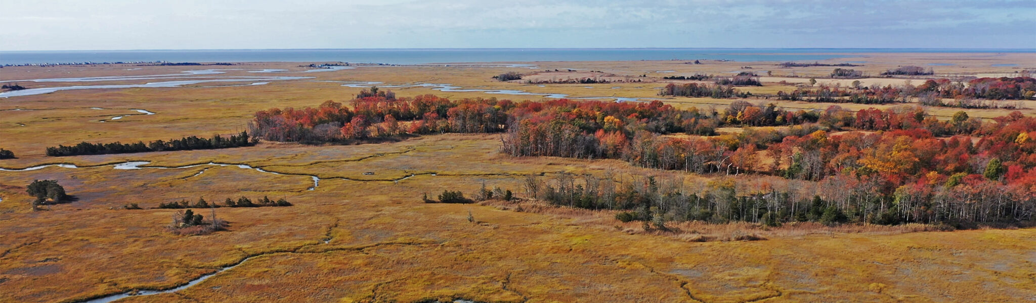 Delaware Bay | State Wildlife Action Plan