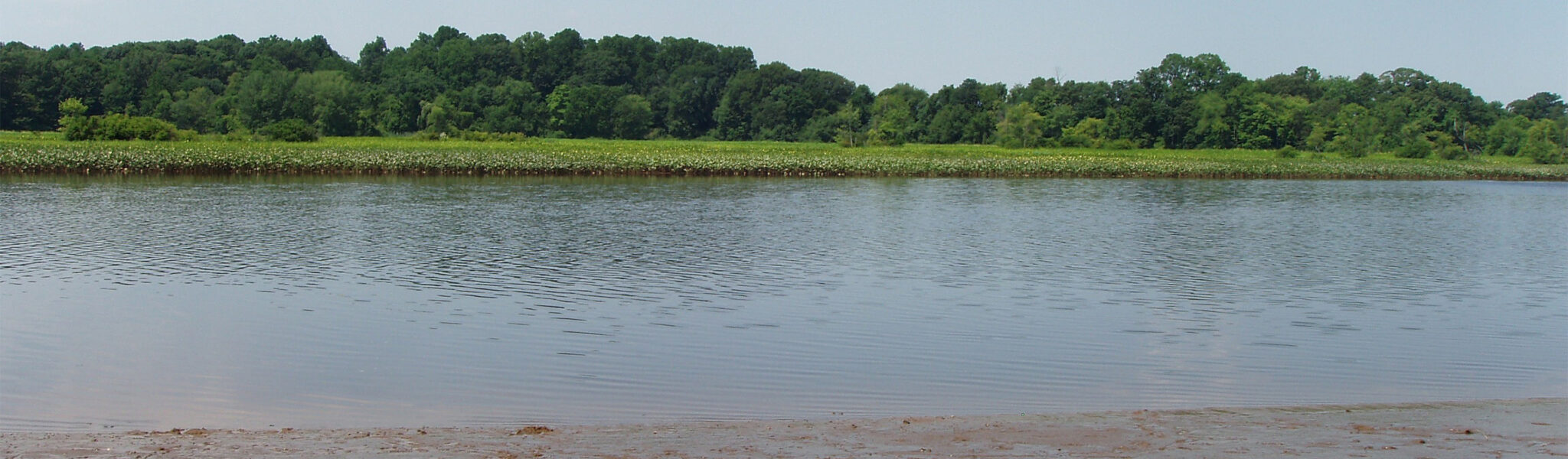 Freshwater Tidal Rivers and Streams | State Wildlife Action Plan