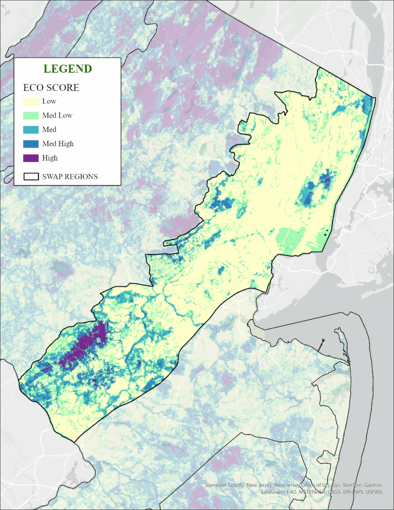 Piedmont | State Wildlife Action Plan