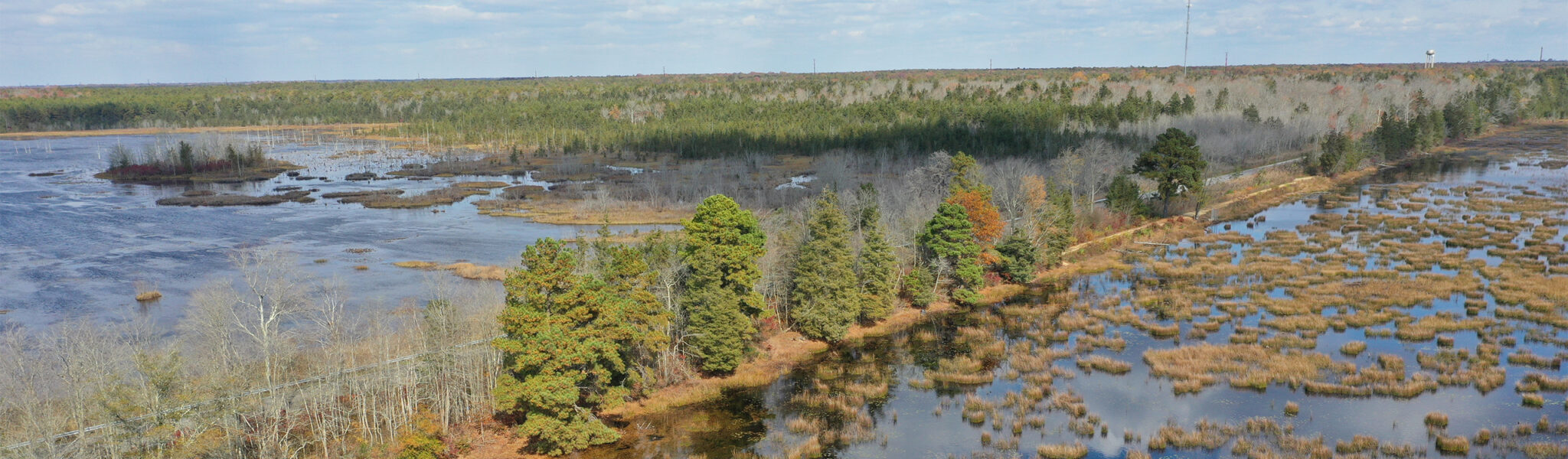 Pinelands | State Wildlife Action Plan