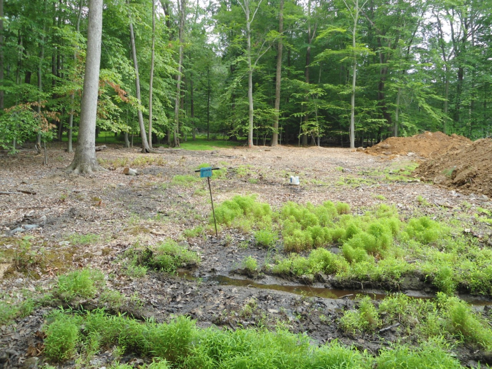 NJDEP| Watershed & Land Management | Coastal & Land Use Enforcement