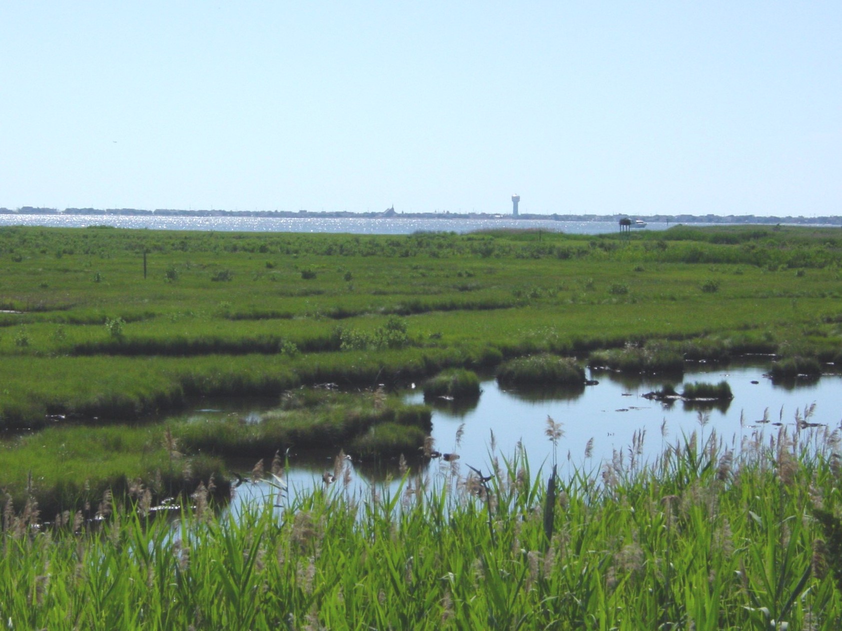 NJDEP| Watershed & Land Management | Estuaries