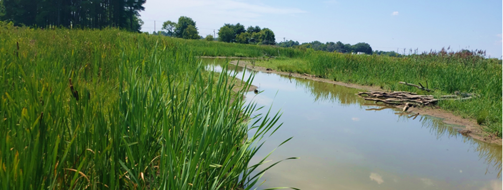 NJDEP| Watershed & Land Management | Success Stories