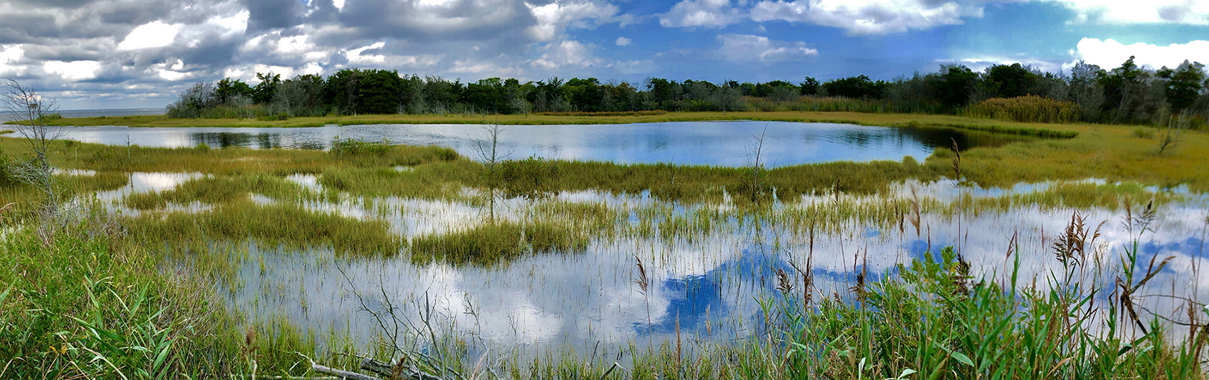 NJDEP| Watershed & Land Management | Updated Protocols for the ...