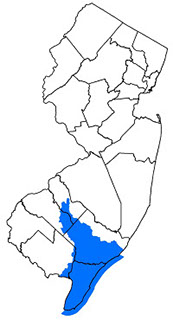 NJDEP| Watershed & Land Management | Wetland Banks