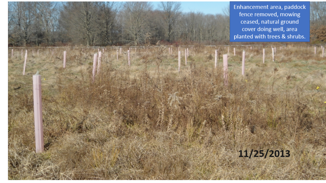 NJDEP| Watershed & Land Management | Success Stories