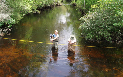 NJDEP| Water Monitoring, Standards & Pesticide Control | Home